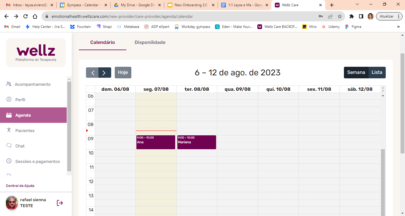 Como acessar uma sessão? – Wellz